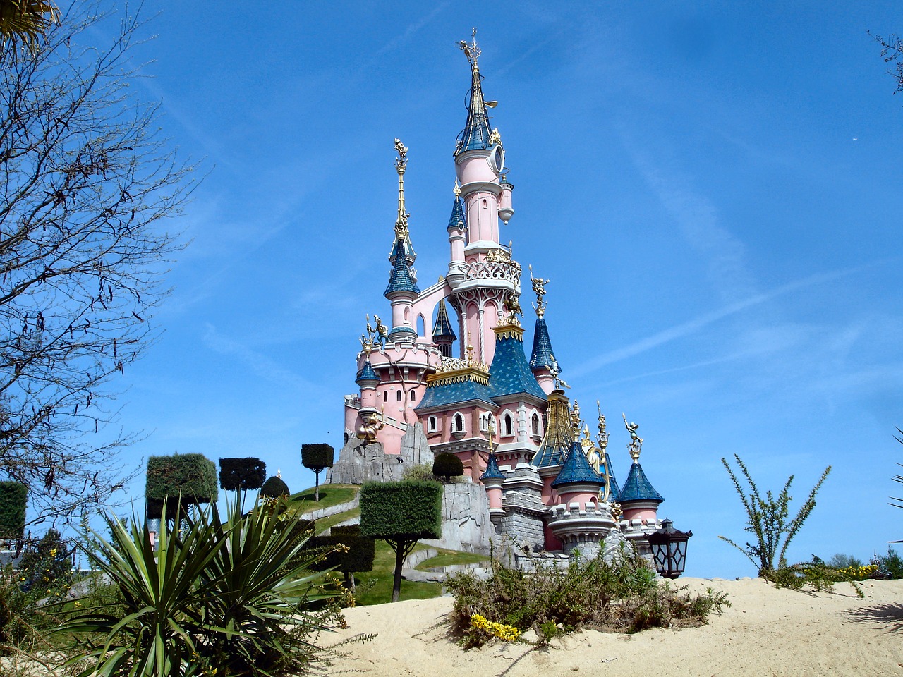 Wycieczka objazdowa do Disneylandu | Wakacyjna Papuga