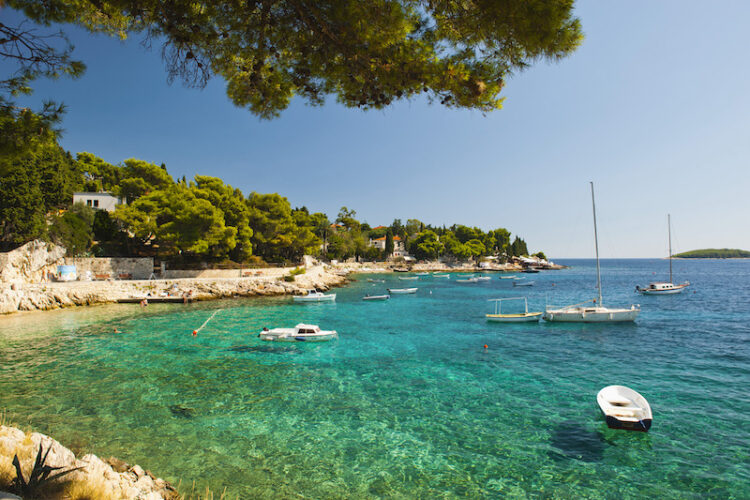 Dalmacja na wakacje - oferty na wakacyjnapapuga.pl